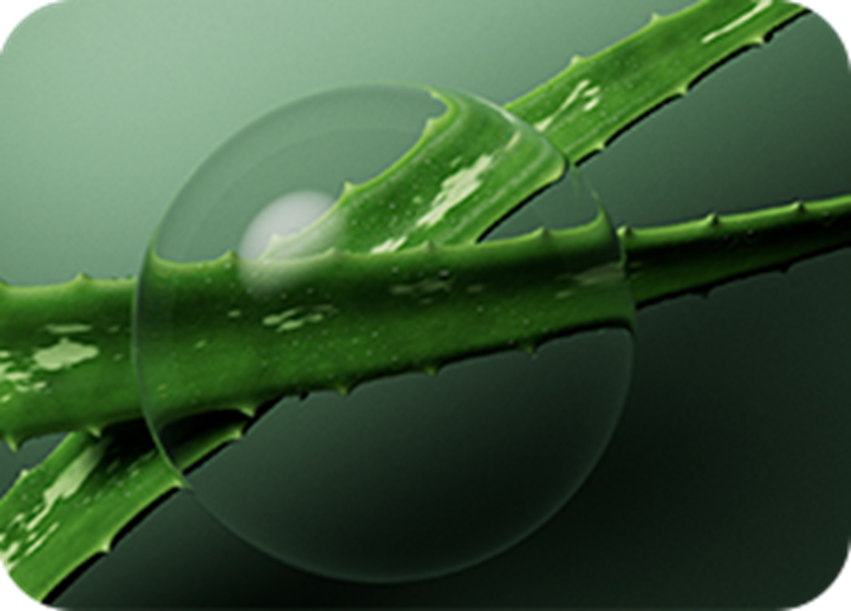 Ingredients We Use | Biolage