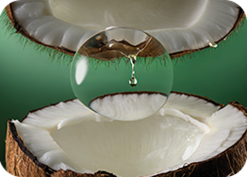 Ingredients We Use | Biolage