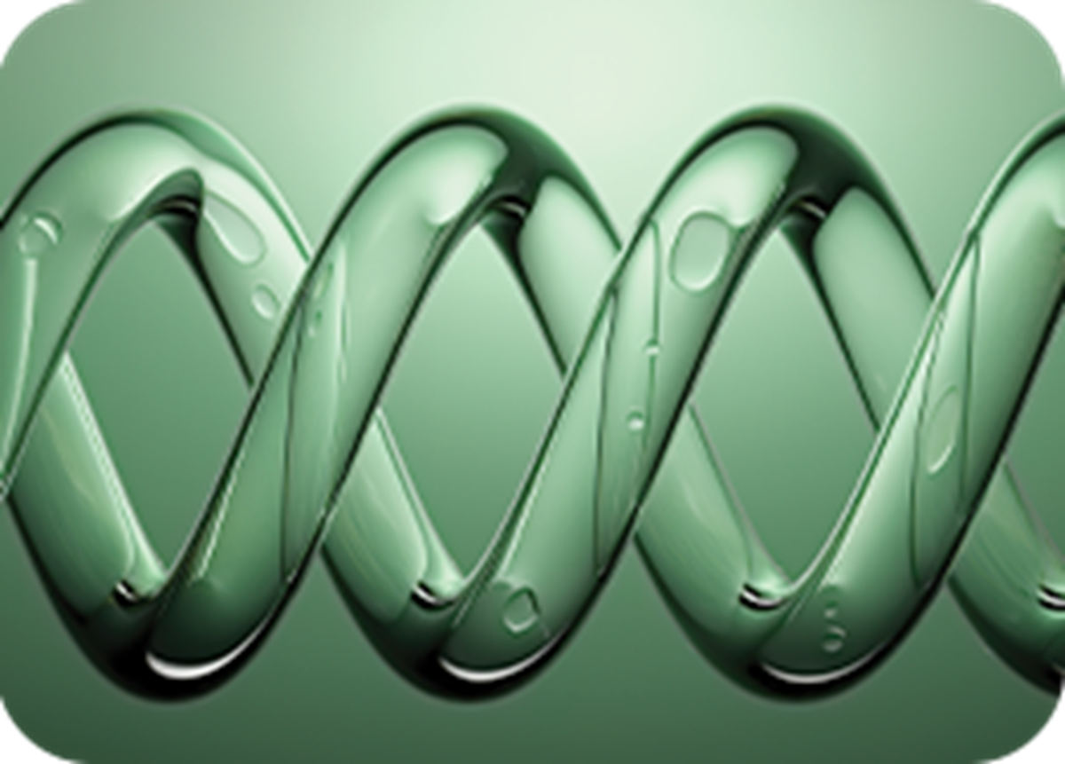 Ingredients We Use | Biolage