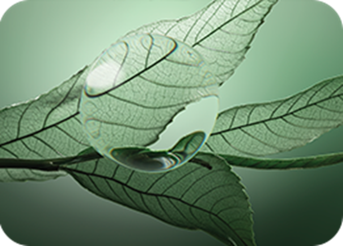 Ingredients We Use | Biolage