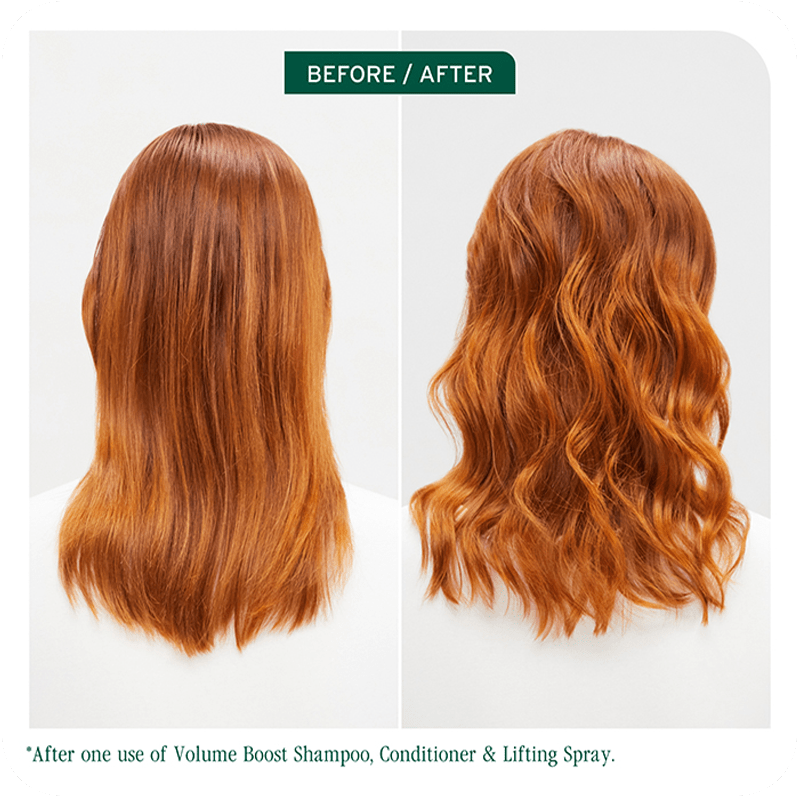 snapshot volume boost