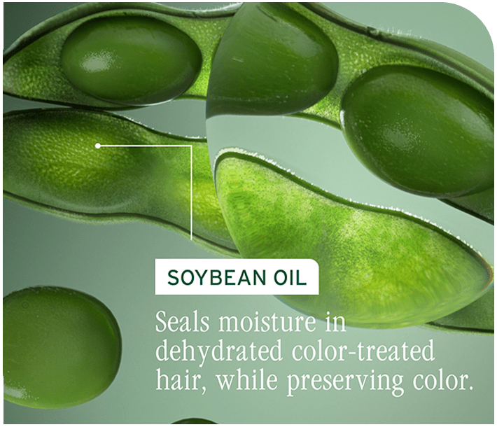 Color Last - Shampoo for Color Treated Hair