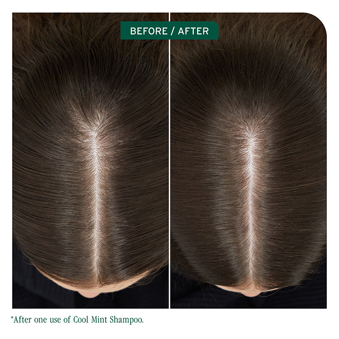 Cool Mint Balancing Shampoo