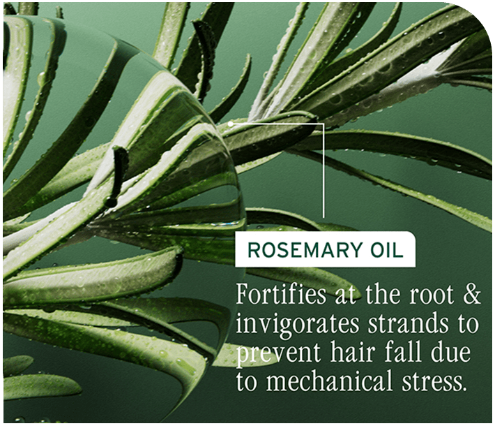 Full Rescue Invigorating Scalp Serum